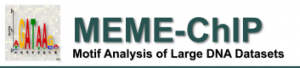 MEME ChIP – motif discovery in ChIP-seq datasets | NBCR - National ...